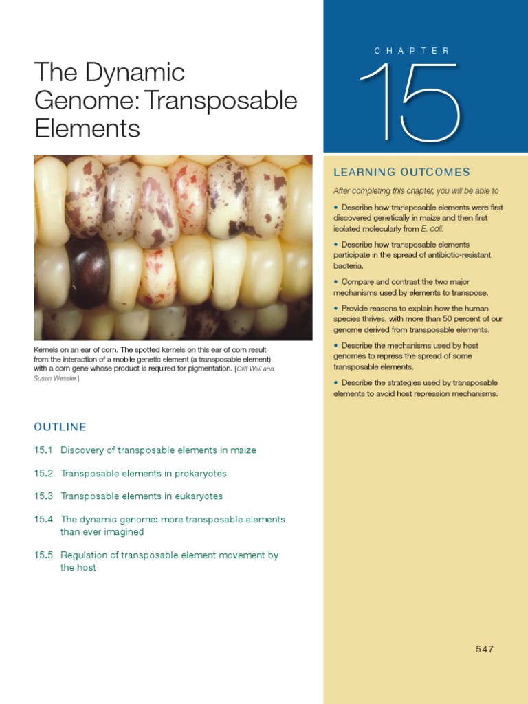The Dynamic Genome: Transposable Elements: Learning Outcomes | PDF | Transposable Element | Genome