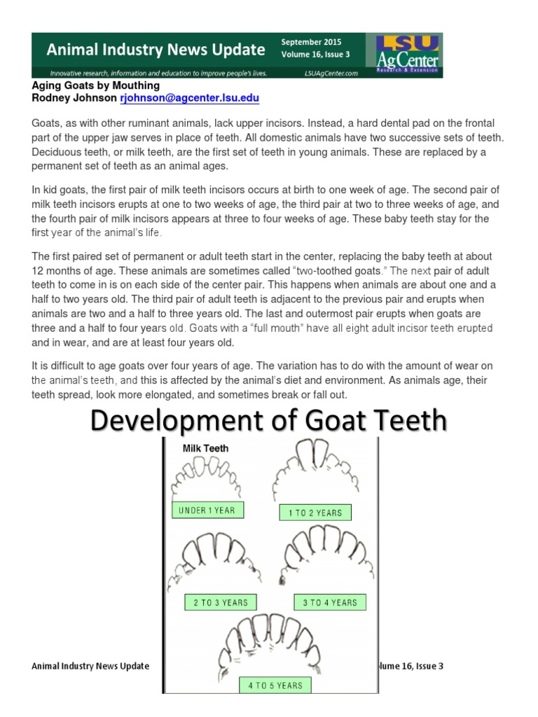 Development of Goat Teeth: Animal Industry News Update | PDF