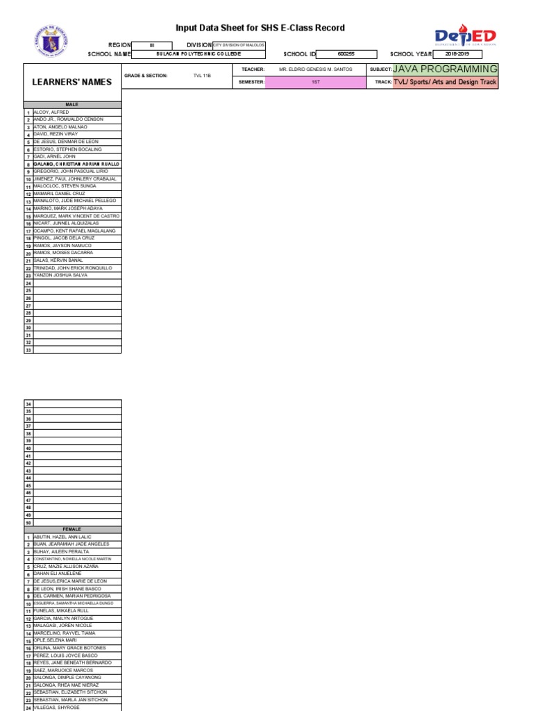 SHS E-Class record data input sheet | PDF