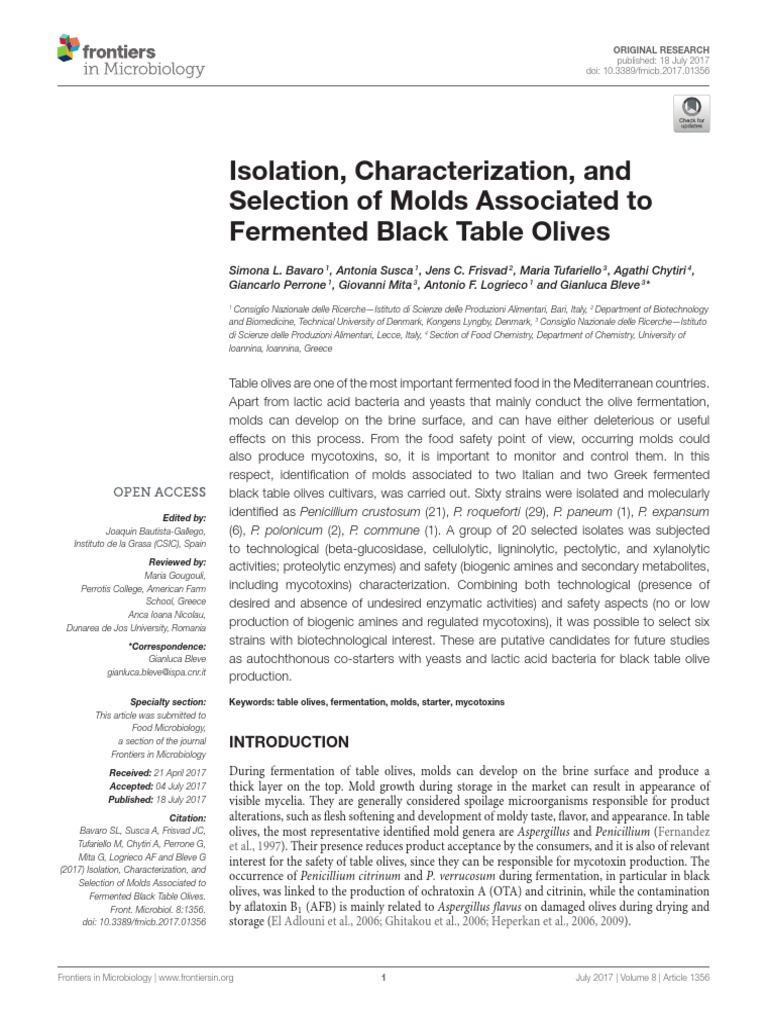 Isolation, Characterization, and Selection of Molds Associated To ...