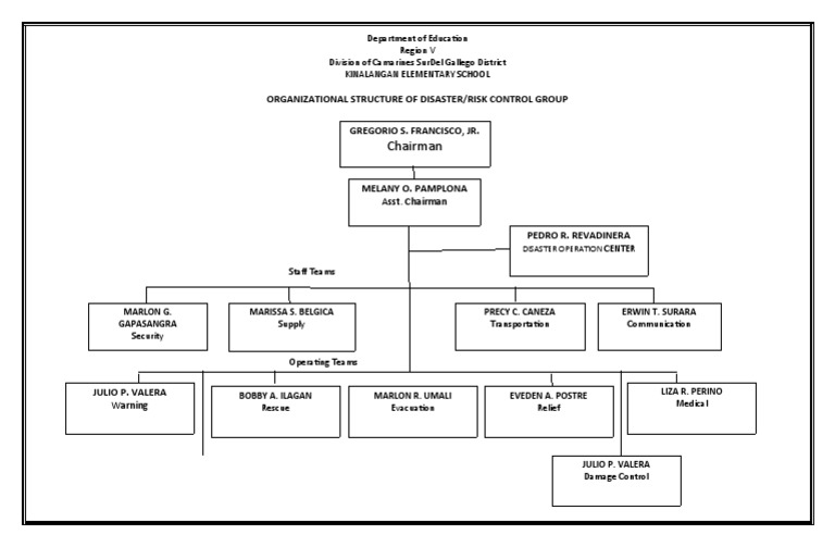 Disaster Risk Control Team Structure | PDF