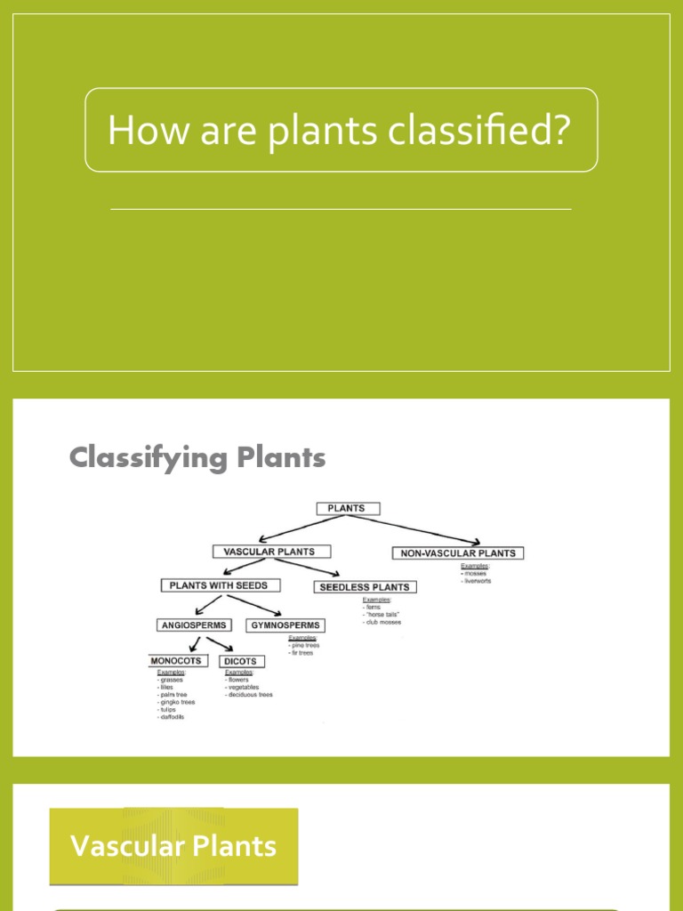 Science Plant Classification | PDF | Wellness | Science & Mathematics