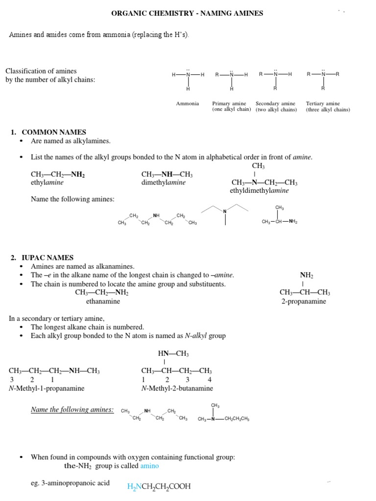 Ammonia Primary Amine (One Alkyl Chain) Secondary Amine (Two Alkyl ...