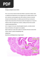 Histopathology Report (Example) | PDF | Histopathology | Pathology