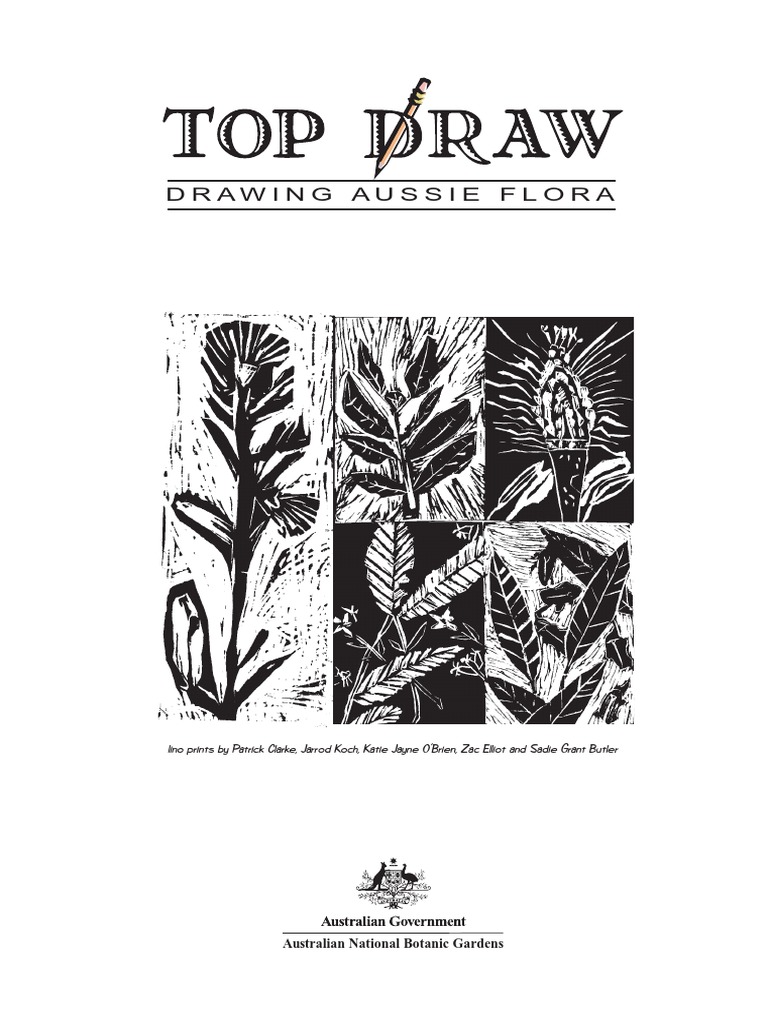 Drawing Aussie Flora: Australian National Botanic Gardens | PDF | Petal ...