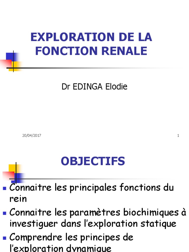 Exploration de la Fonction Rénale | PDF | Urine | Créatinine