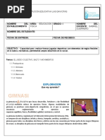 El Pilon | PDF | Ropa | Carnaval
