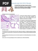 (Anatomía) Triángulos de Pirogoff y Béclard | PDF | Medicina CLINICA ...