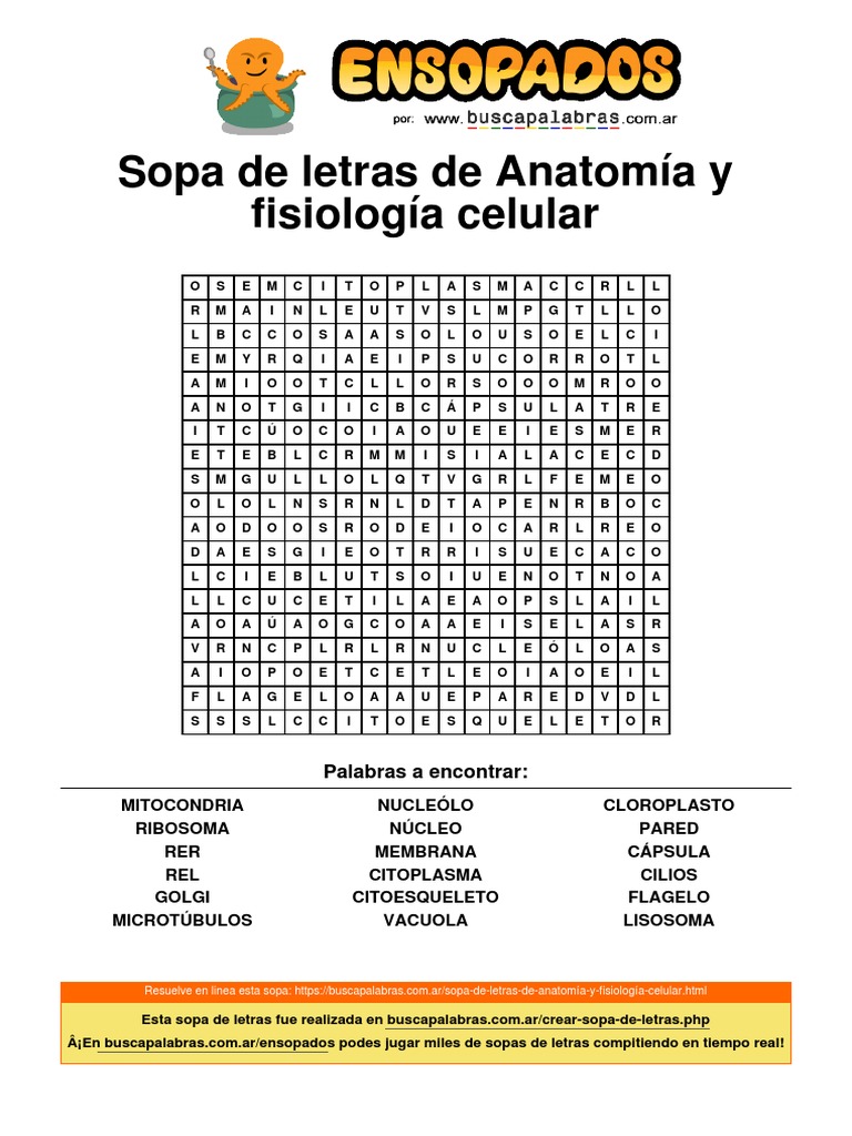 Sopa de Letras de Anatomía y Fisiología Celular | PDF | Bioquímica ...