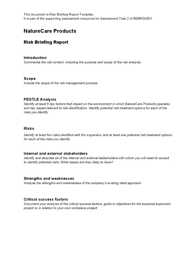 Risk Briefing Report Template | PDF