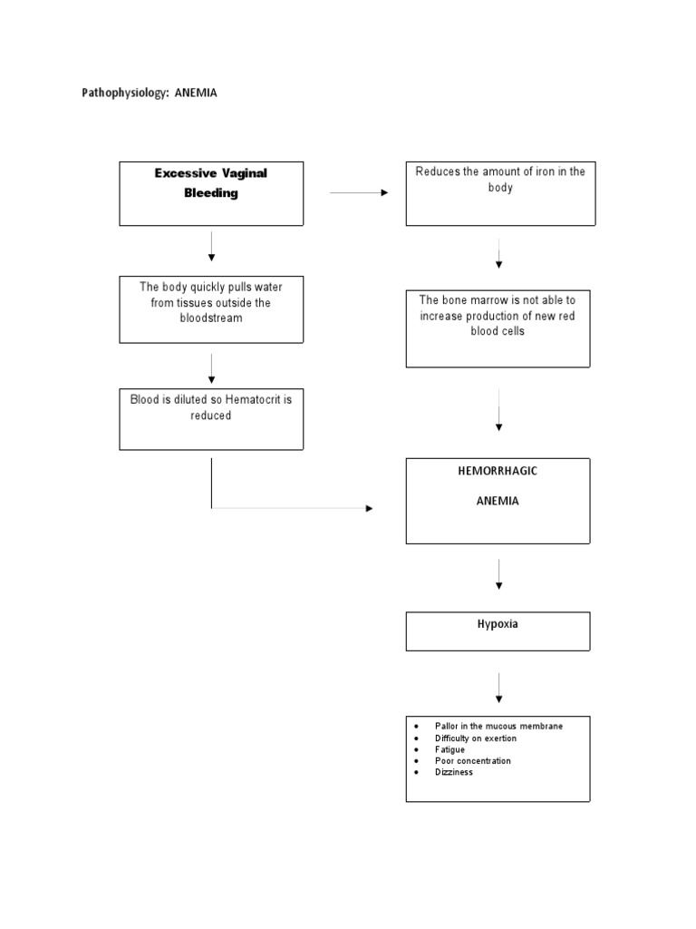 Pathophysiology: ANEMIA: Excessive Vaginal Bleeding Reduces The Amount ...