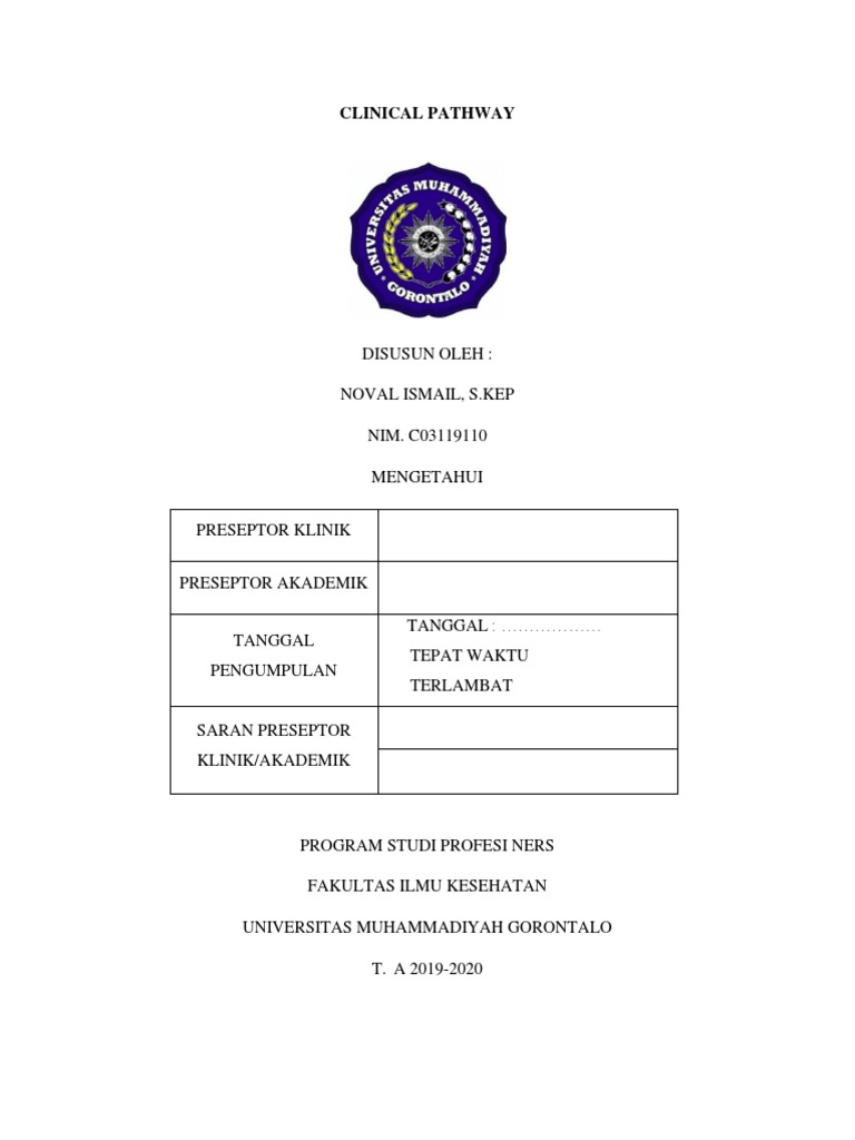 Clinical Pathway SNH | PDF
