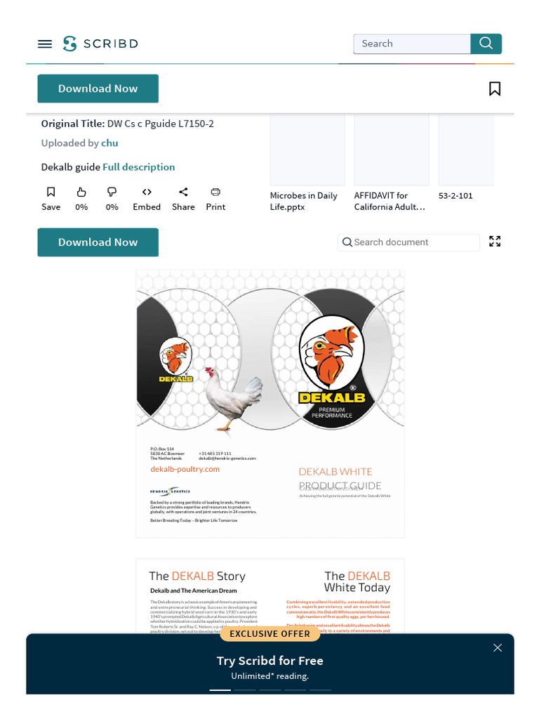 Dekalb White - Product Guide - Chicken - Birds125220 PDF | PDF ...