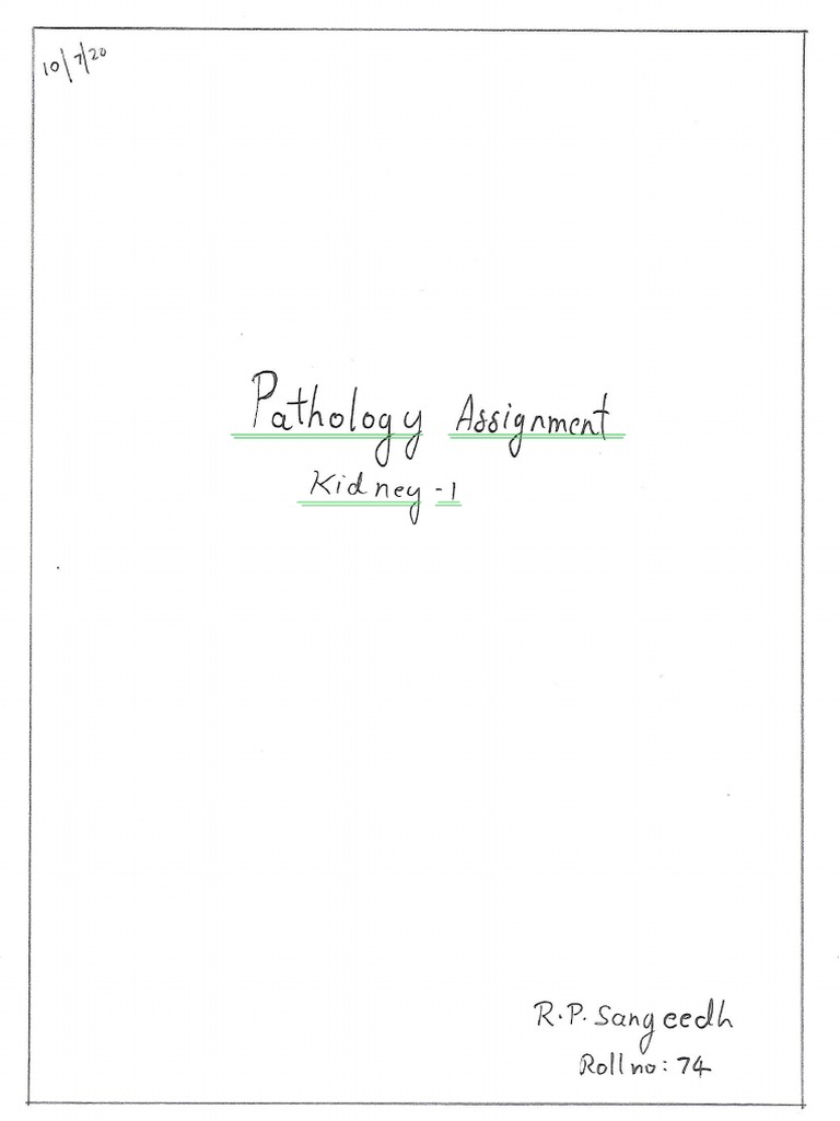Pathology Assignment-Kidney-I PDF | PDF
