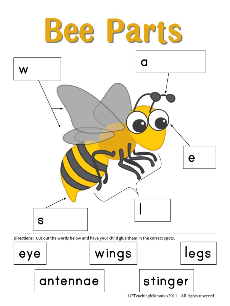 Bee Parts | PDF