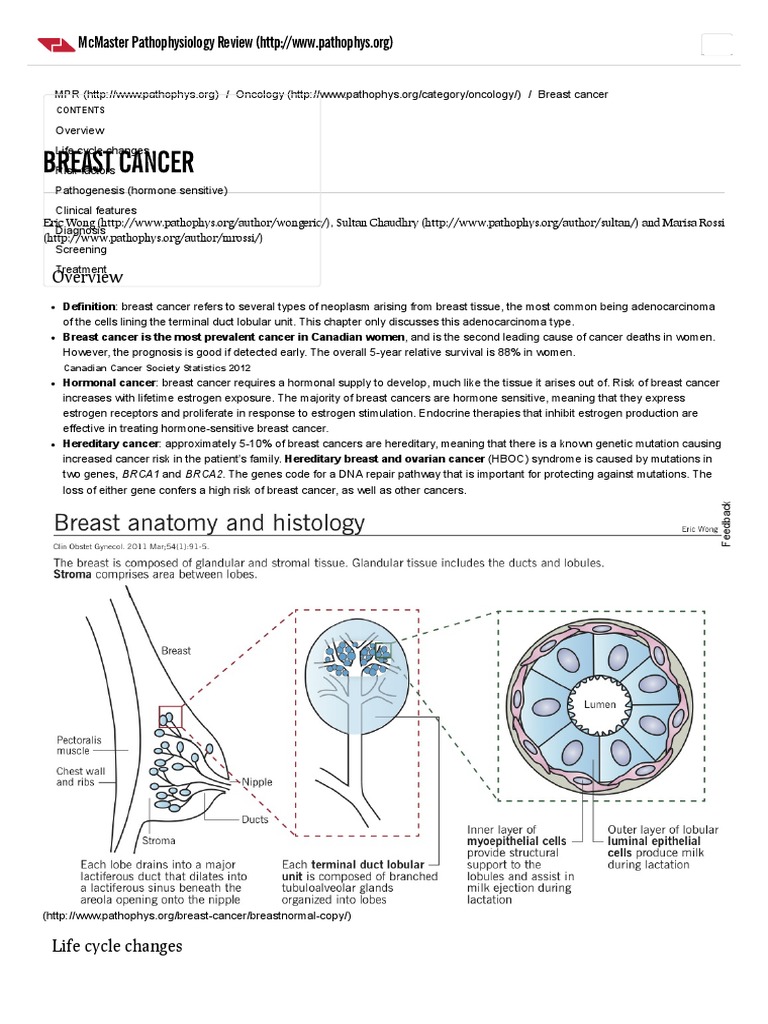 Breast Cancer - McMaster Pathophysiology Review PDF | PDF | Breast ...