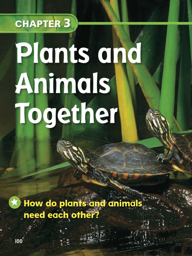 Plants and Animals Together | PDF | Habitat | Grassland