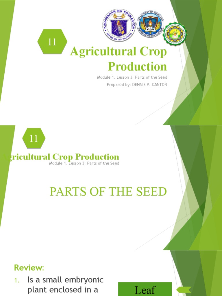 Agricultural Crop Production | PDF