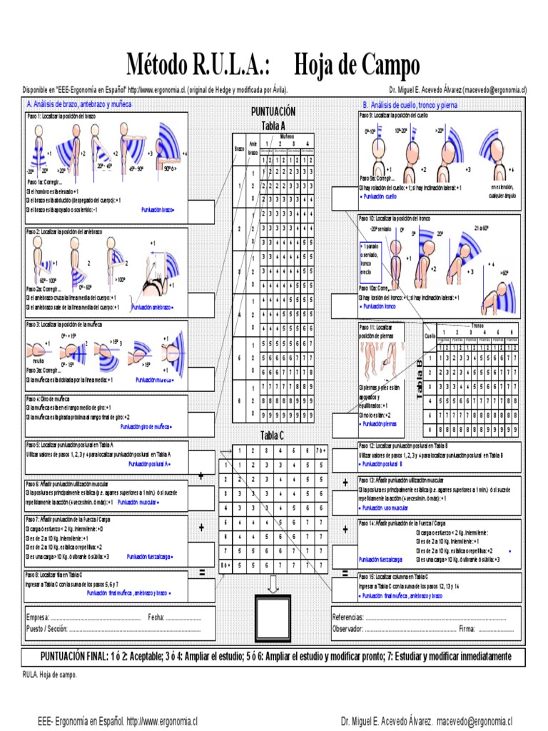 RULA Hoja de Campo | PDF | Naturaleza