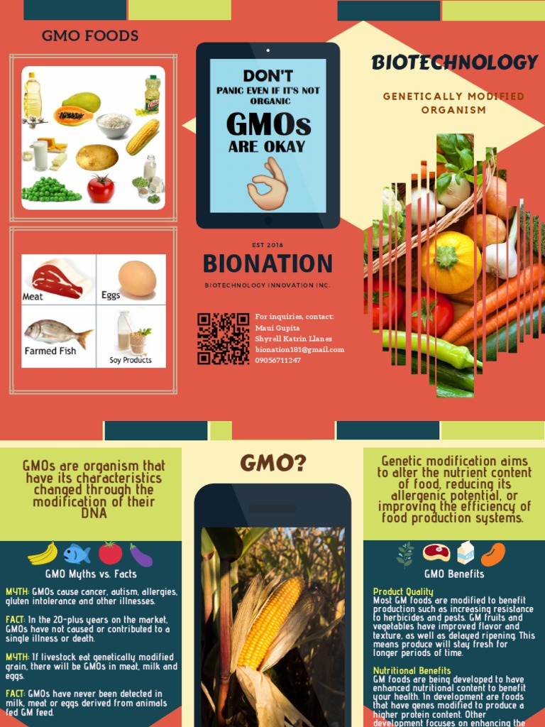 Gmo Pamplet | PDF | Genetically Modified Organism | Genetic Engineering