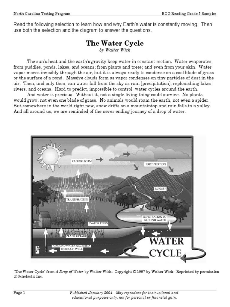 Water Cycle | Download Free PDF | Water Cycle | Rain