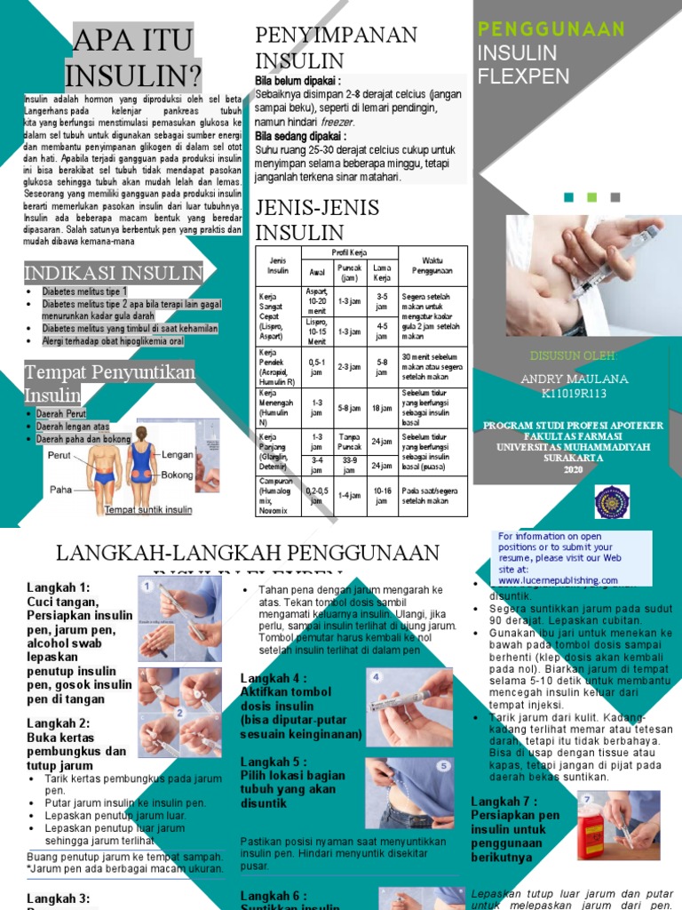 Leaflet Informasi Penggunaan Insulin | PDF