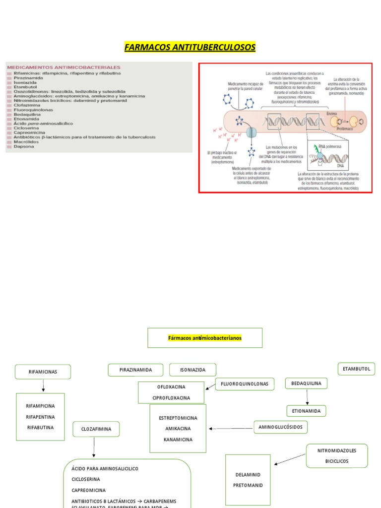 Farmacos Antituberculosos - Banco de Preguntas | PDF