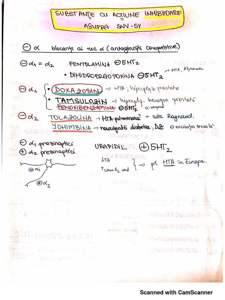 CamScanner Usage Insights | PDF