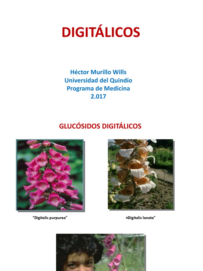 Digitálicos 2017 | PDF | Electrocardiografia | Farmacocinética