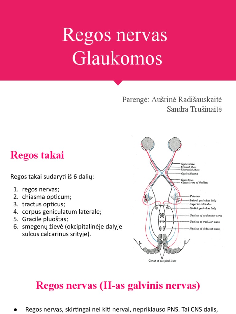 Regos Nervas. Glaukoma | PDF