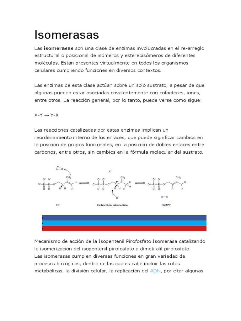 Isomerasas | PDF | Enzima | Metabolismo