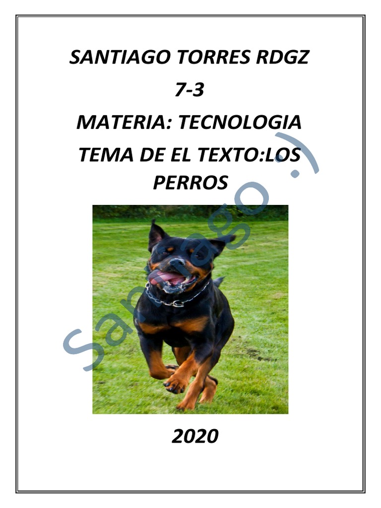 Los Perros CTM | PDF | Perros | Subespecie De Canis Lupus