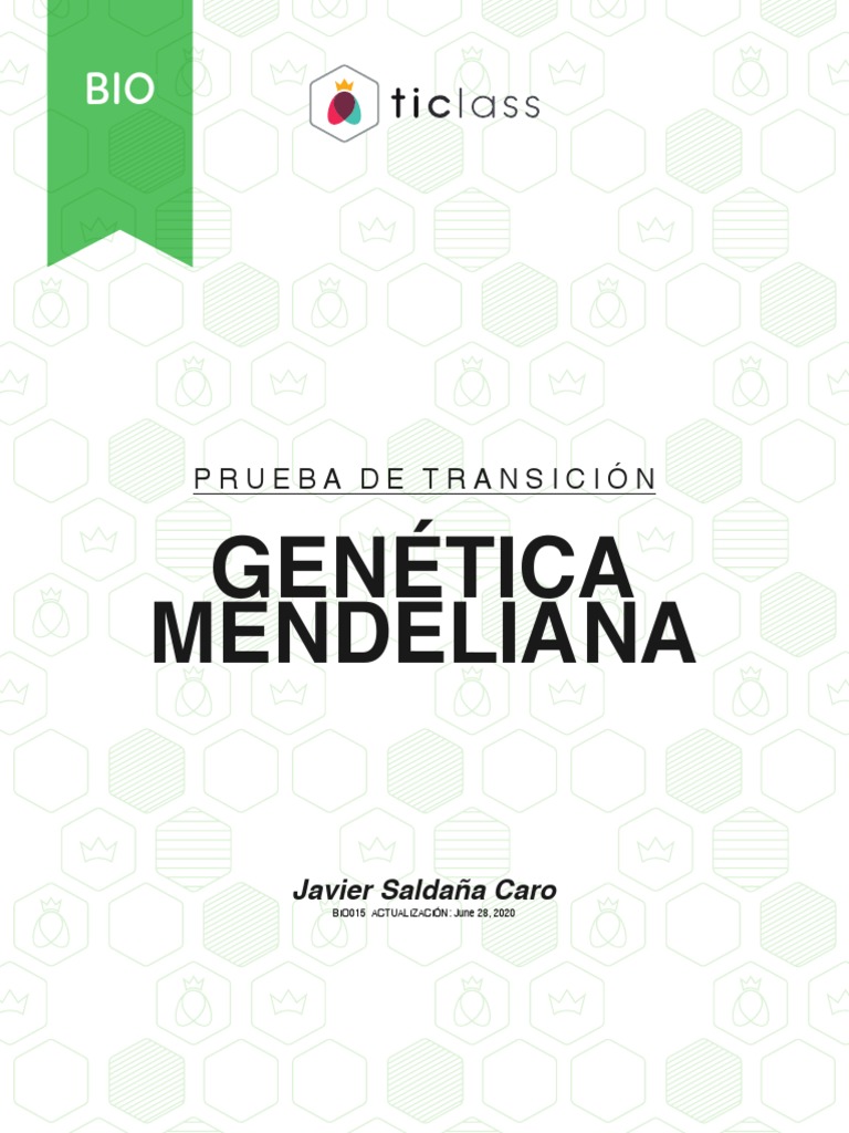 GUIA 15 GENÉTICA MENDELIANA.pdf | PDF | Dominancia (Genética) | Genética