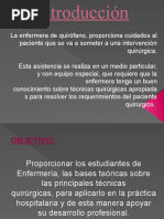 Posicion Flower Semiflower | PDF