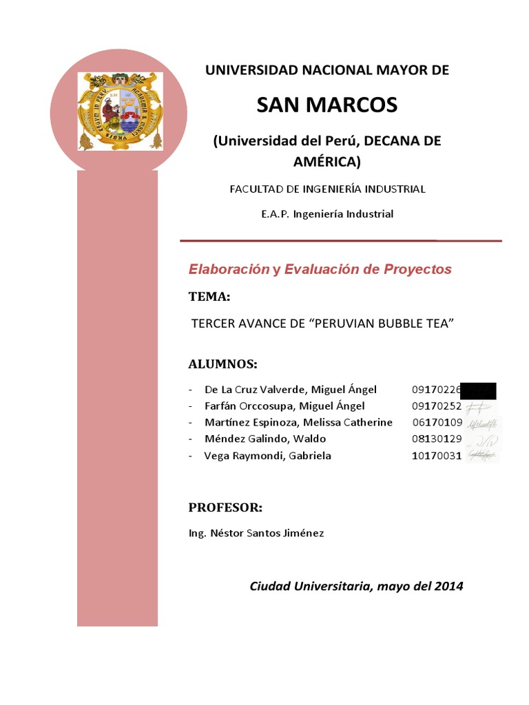 Proyecto de Bubble Tea Peruano | PDF | Producto (Negocio) | Cereales