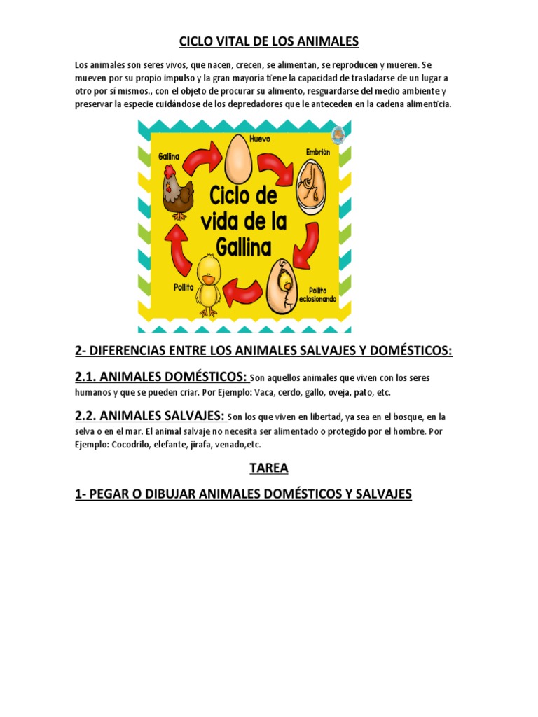 Ciclo de Vida y Tipos de Animales | PDF