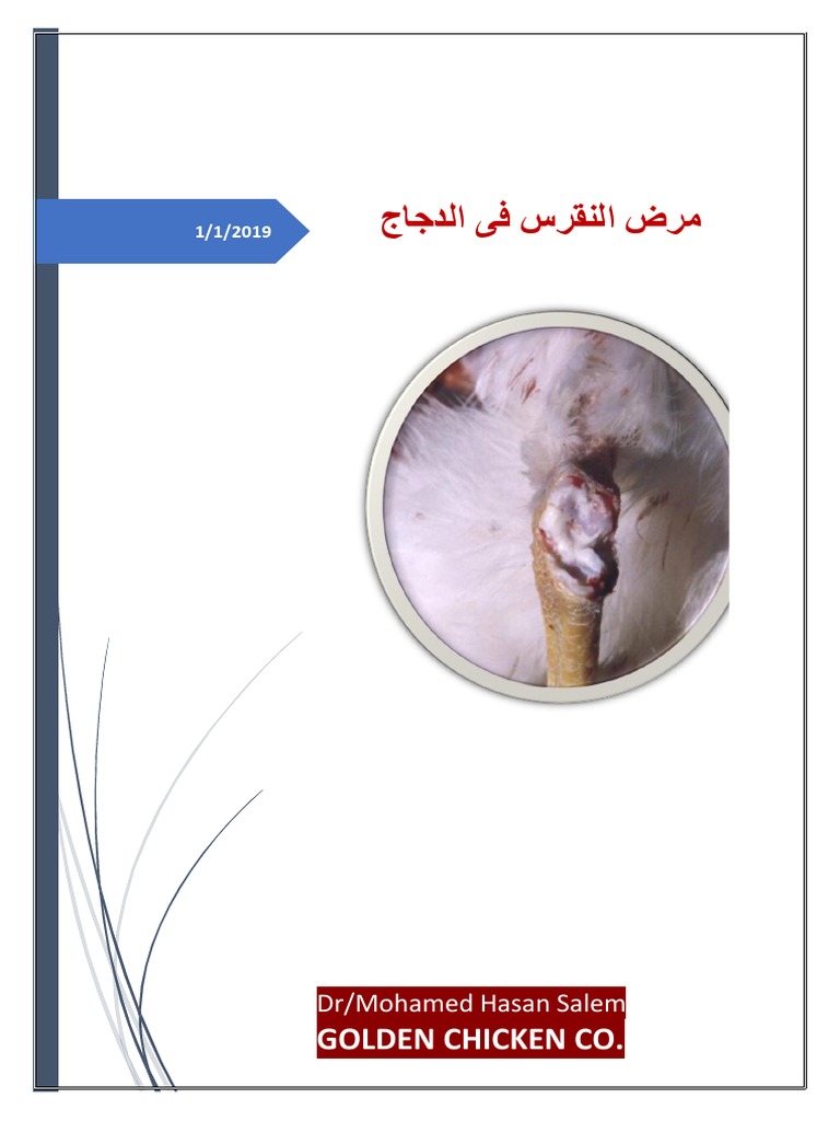 Gout in Poultry | PDF