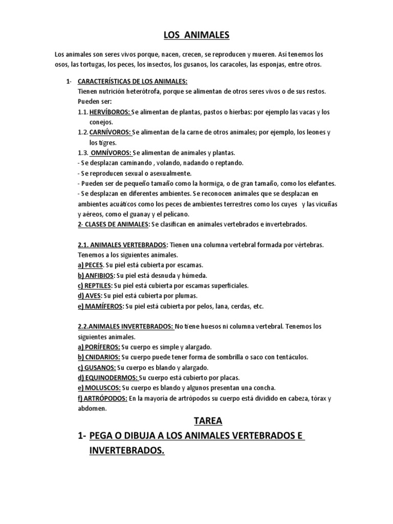 Los Animales | PDF | Invertebrado | Vertebrados