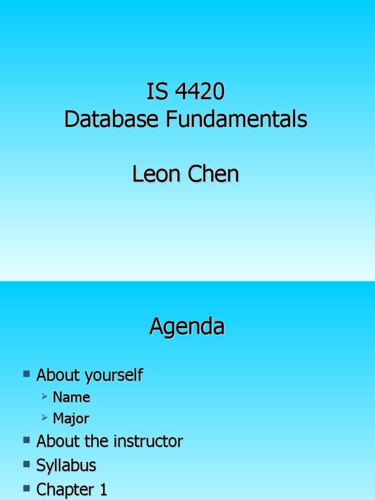 IS 4420 Database Fundamentals Leon Chen | PDF | Databases | Metadata