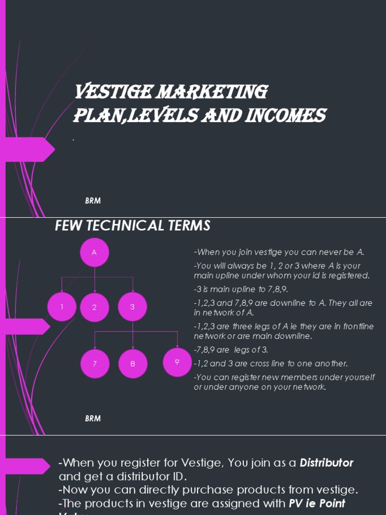 Vestige Marketing Plan Levels and Incomes Summary | PDF | Multi Level ...
