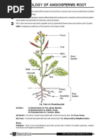 11th STD Bio-Botany Practical Manual English Medium - WWW - tn11th - in ...