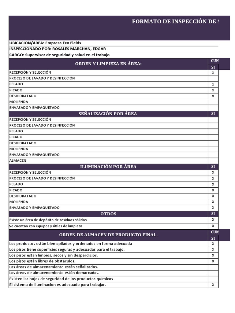 Formatos de Inspección de Seguridad y Salud en El Trabajo | PDF | Factores humanos y ergonomía ...