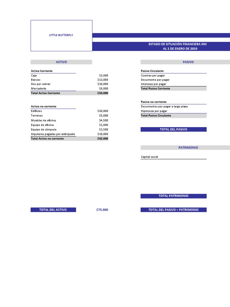 Formato ESFI, LD y LM | PDF | Economía Financiera | Contabilidad financiera