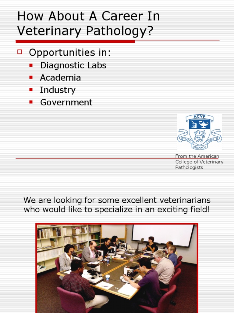 How About A Career in Veterinary Pathology? | PDF | Pathology | Food ...