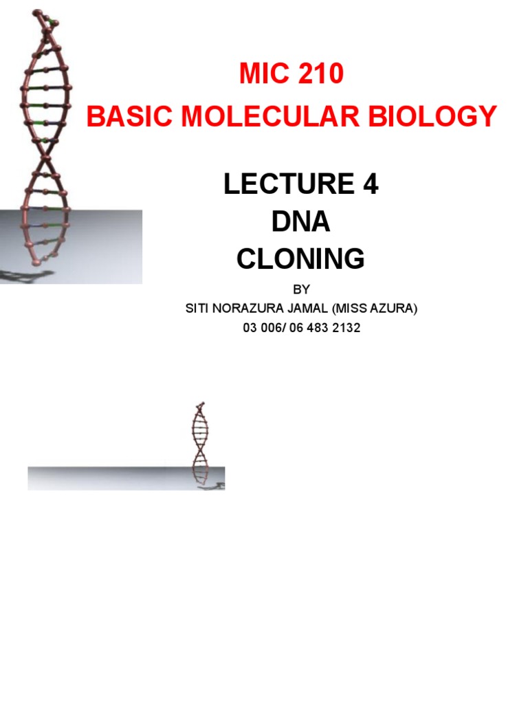 MIC 210 Basic Molecular Biology: DNA Cloning | PDF | Molecular Cloning ...