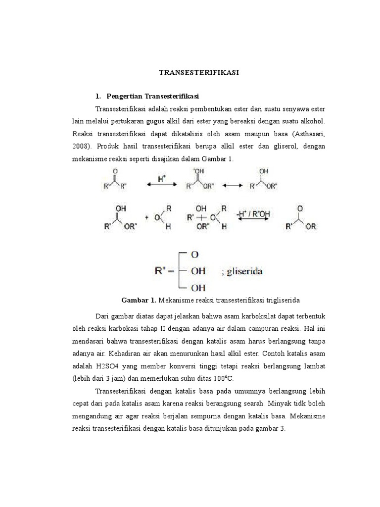 Proses Transesterifikasi Biodiesel | PDF | Sains & Matematika
