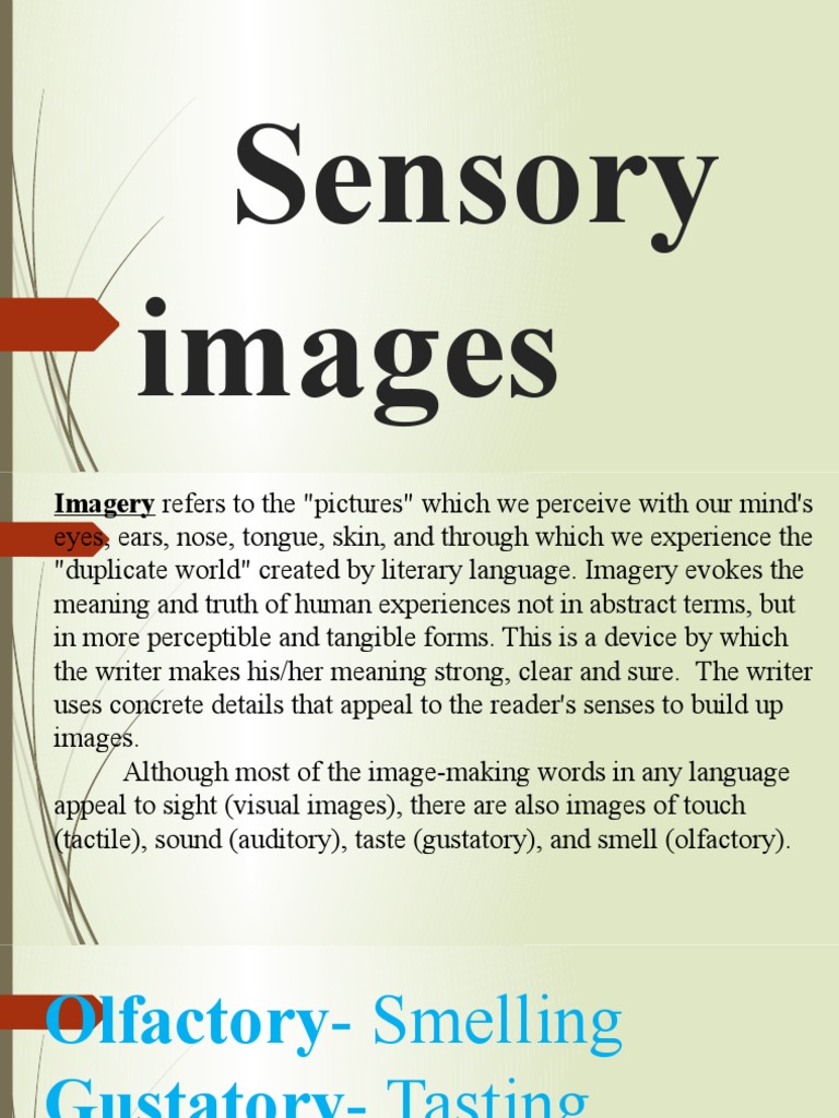 Sensory Images | PDF | Senses | Olfaction