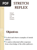 Knee Jerk Reflex Pathway Explained | PDF