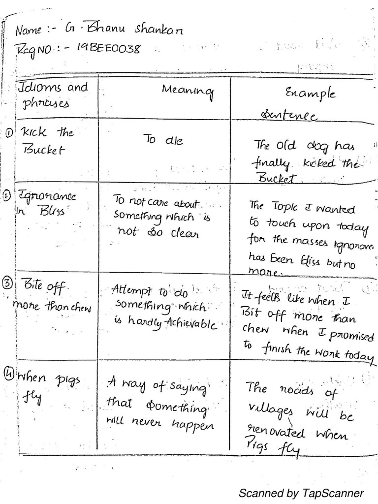 Idioms and Phrases | PDF