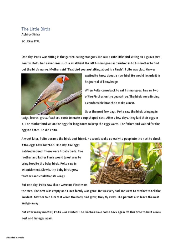 Poltu Learns About Finches: A Boy Observes the Life Cycle of a Family ...